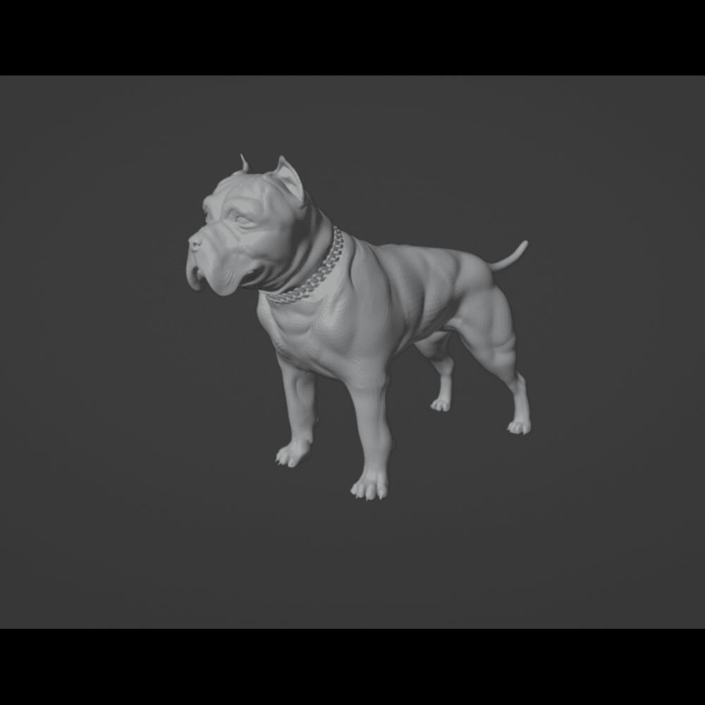 Bull Dog With Neck Chain - 3D Print Model by Hammad Hussain