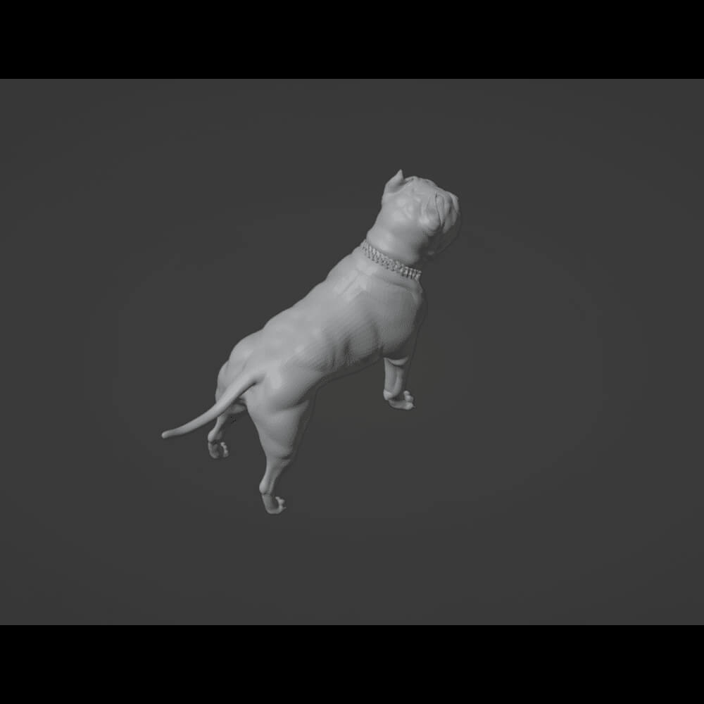 Bull Dog With Neck Chain - 3D Print Model by Hammad Hussain