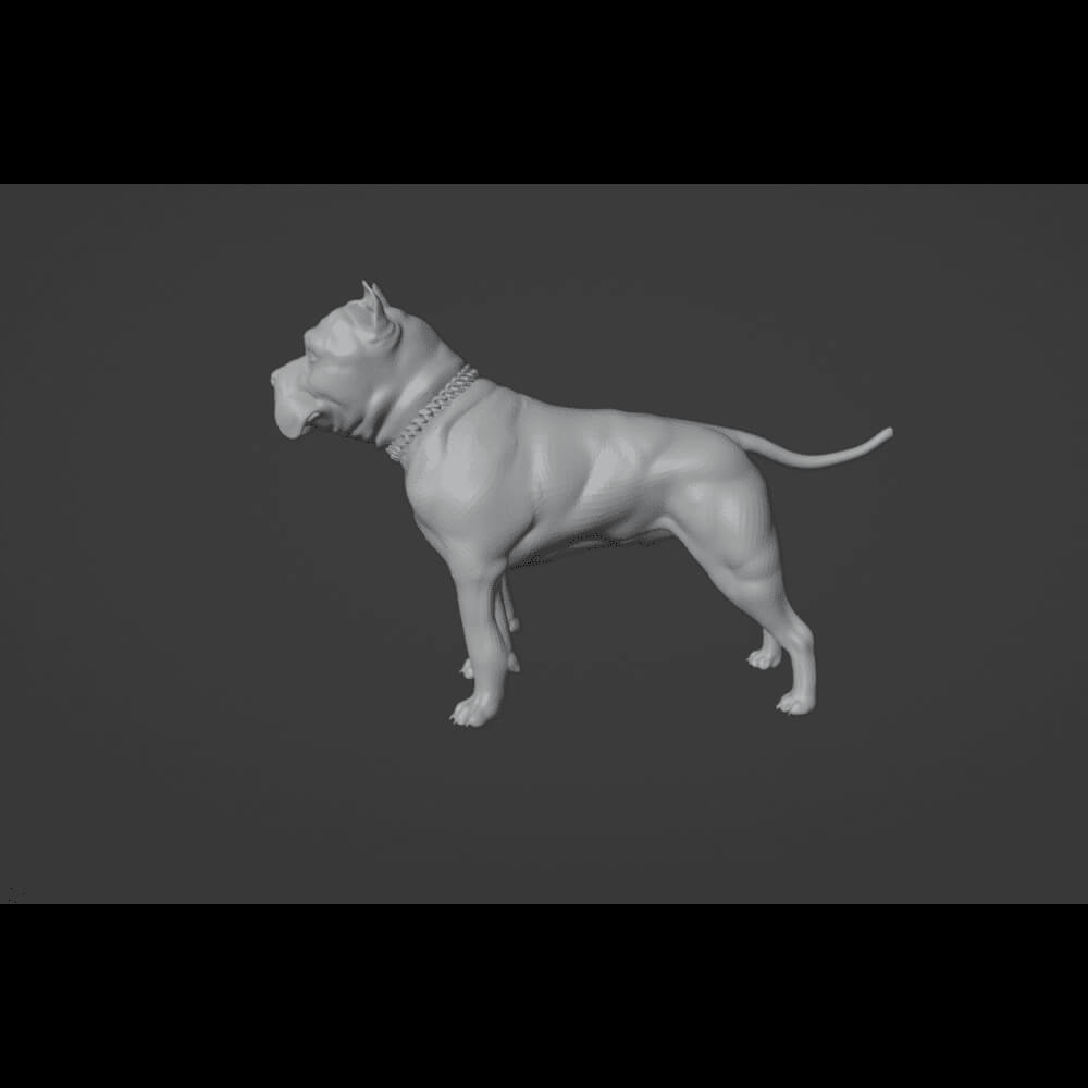 Bull Dog With Neck Chain - 3D Print Model by Hammad Hussain
