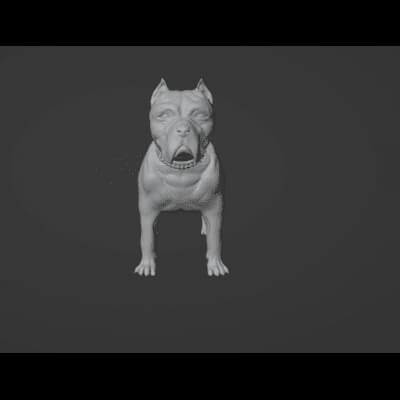 Bull Dog With Neck Chain - 3D Model by Hammad Hussain