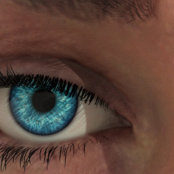 3D Art Gallery by harold4471 at RenderHub