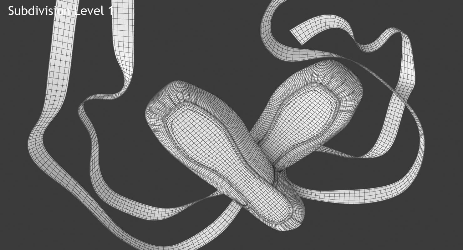 Ballet Shoes - Crossed 3D Model by hdpoly