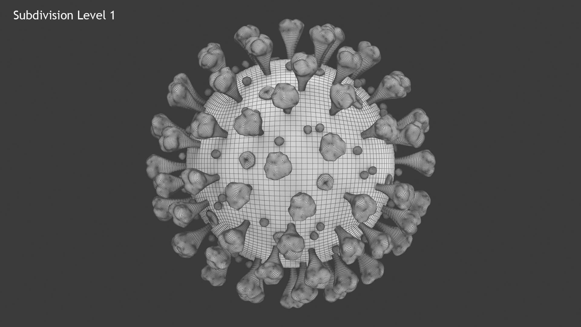 Coronavirus V2 Cross Section - 3D Model by hdpoly