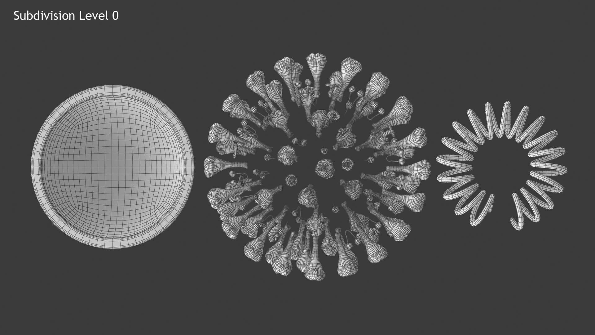 Coronavirus V2 Cross Section - 3D Model by hdpoly