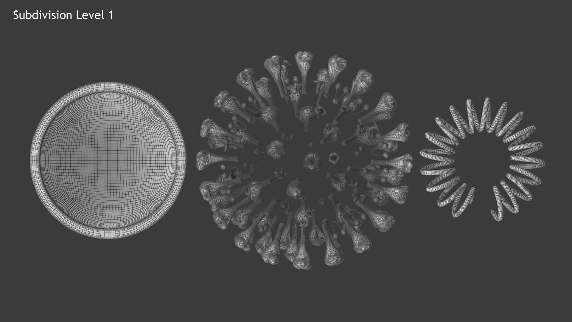 Coronavirus V2 Cross Section - 3D Model by hdpoly