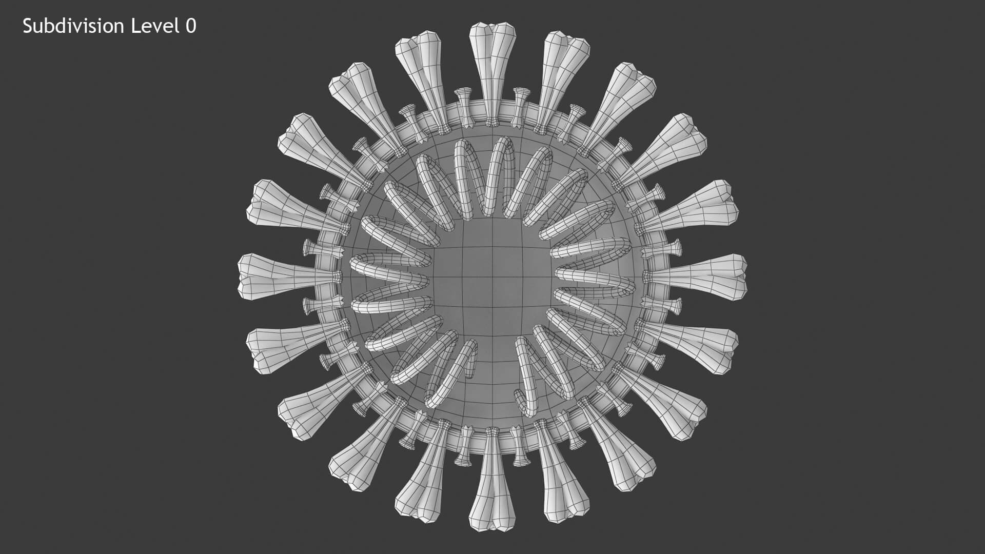 Coronavirus V3 Cross Section - 3D Model by hdpoly