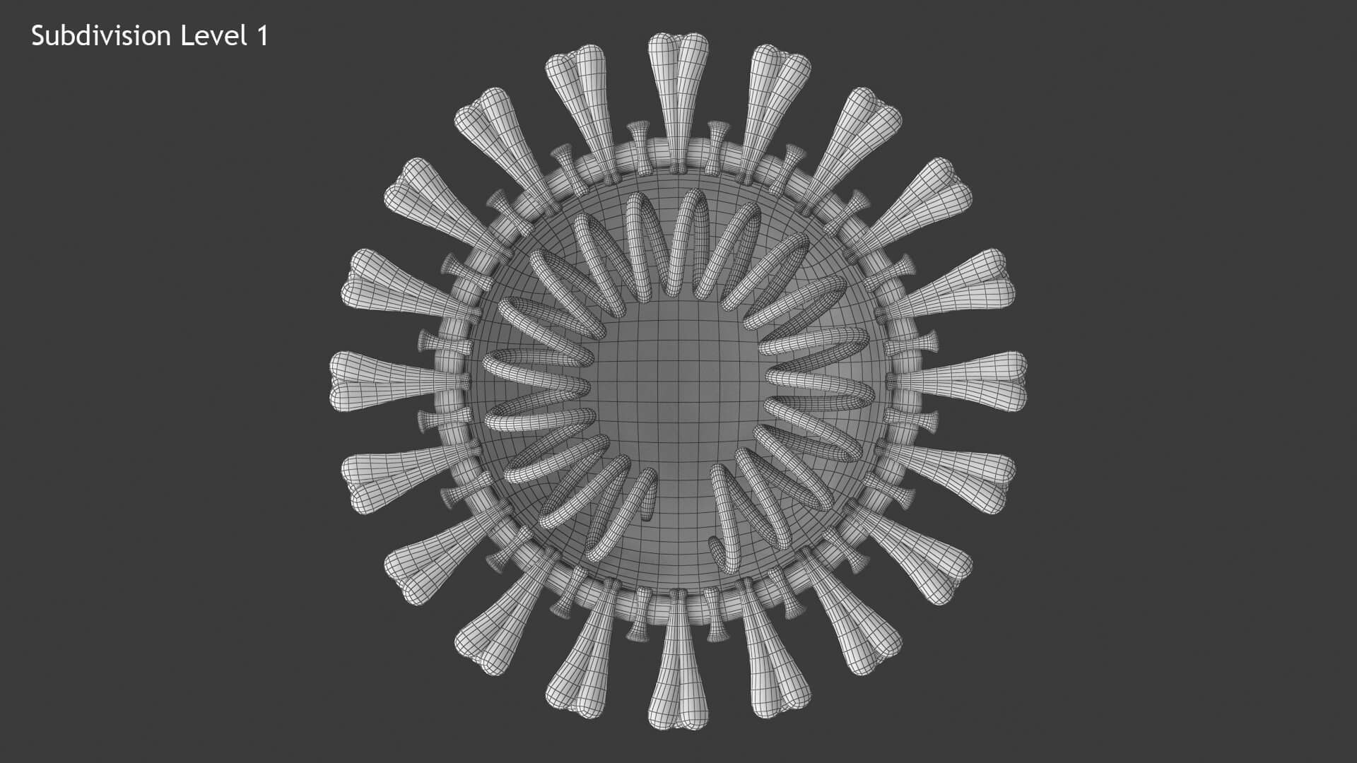 Coronavirus V3 Cross Section - 3D Model by hdpoly
