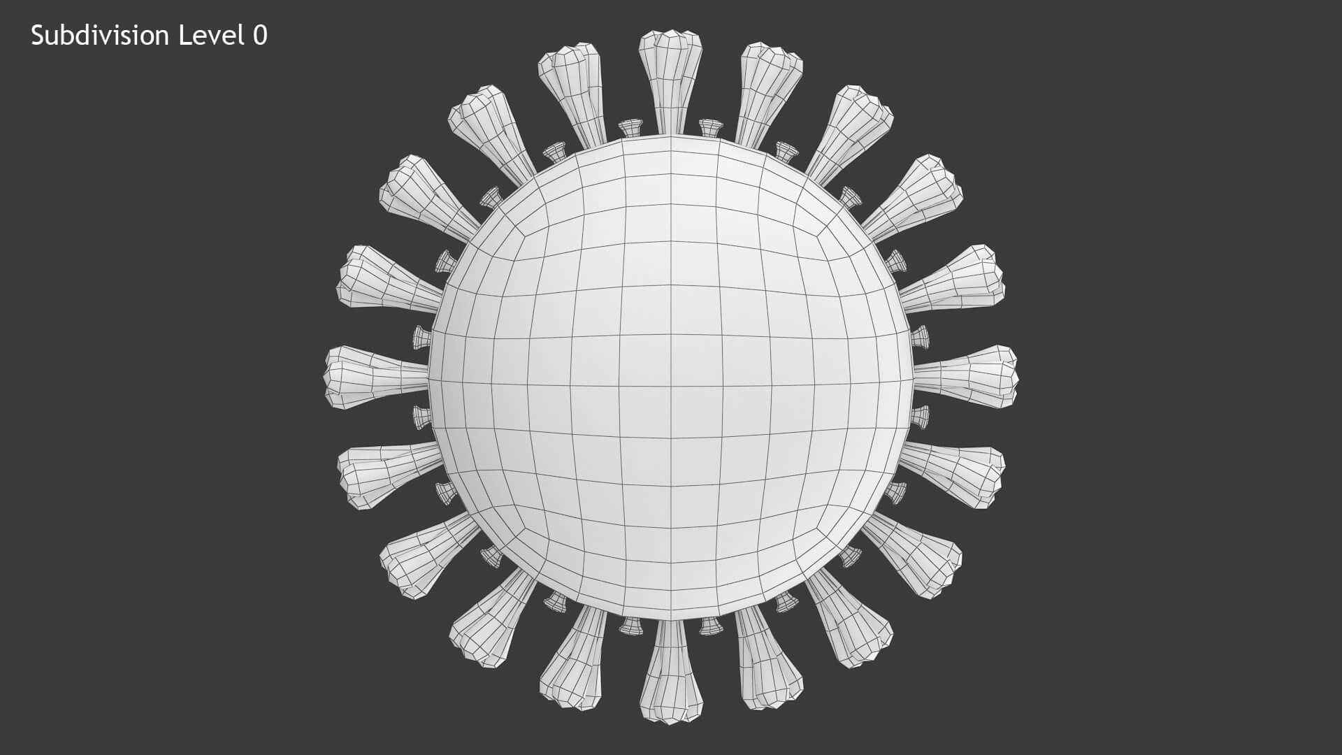 Coronavirus V3 Cross Section - 3D Model by hdpoly
