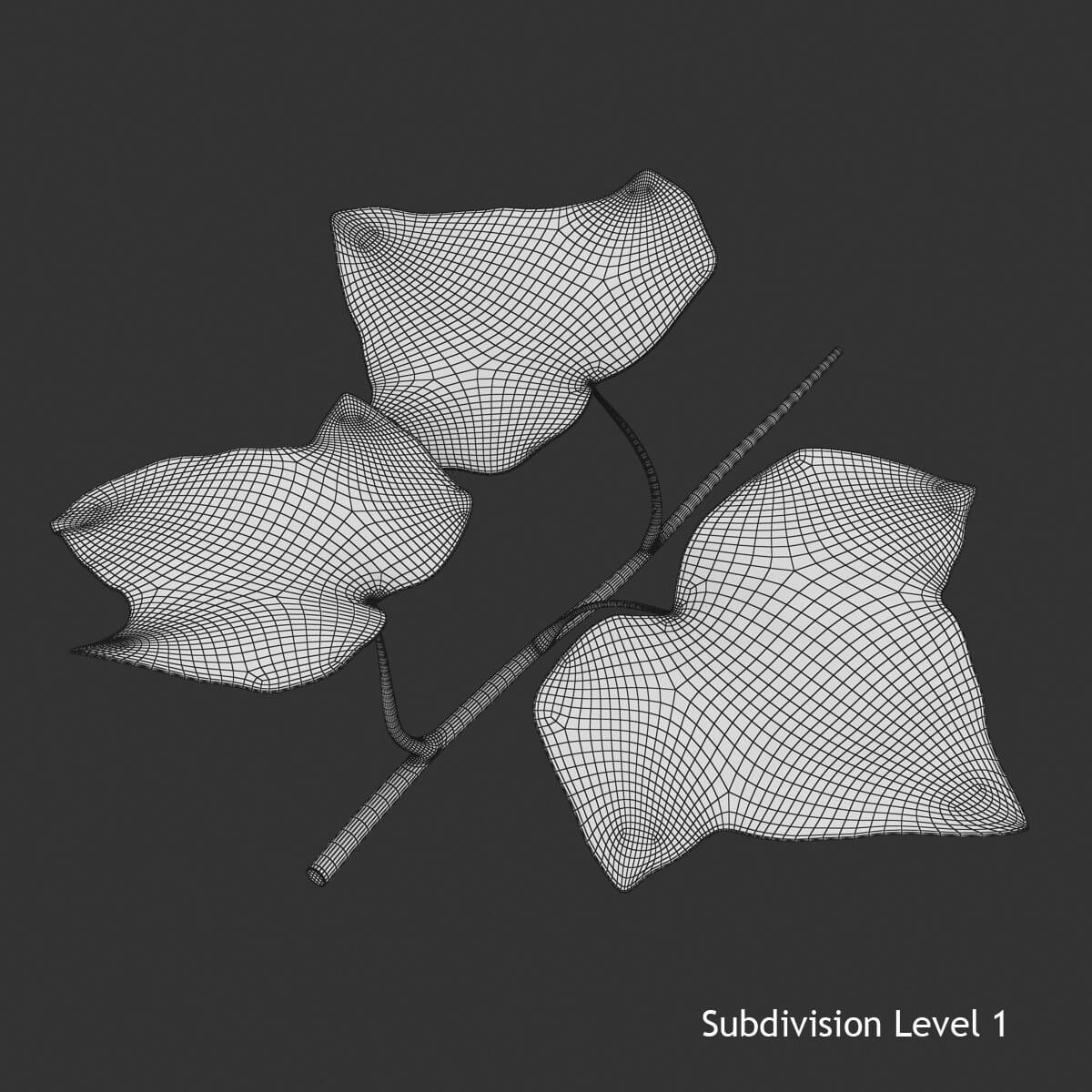 Ivy Leaf 3D Model By Hdpoly ivy-leaf-3d-model-by-hdpoly