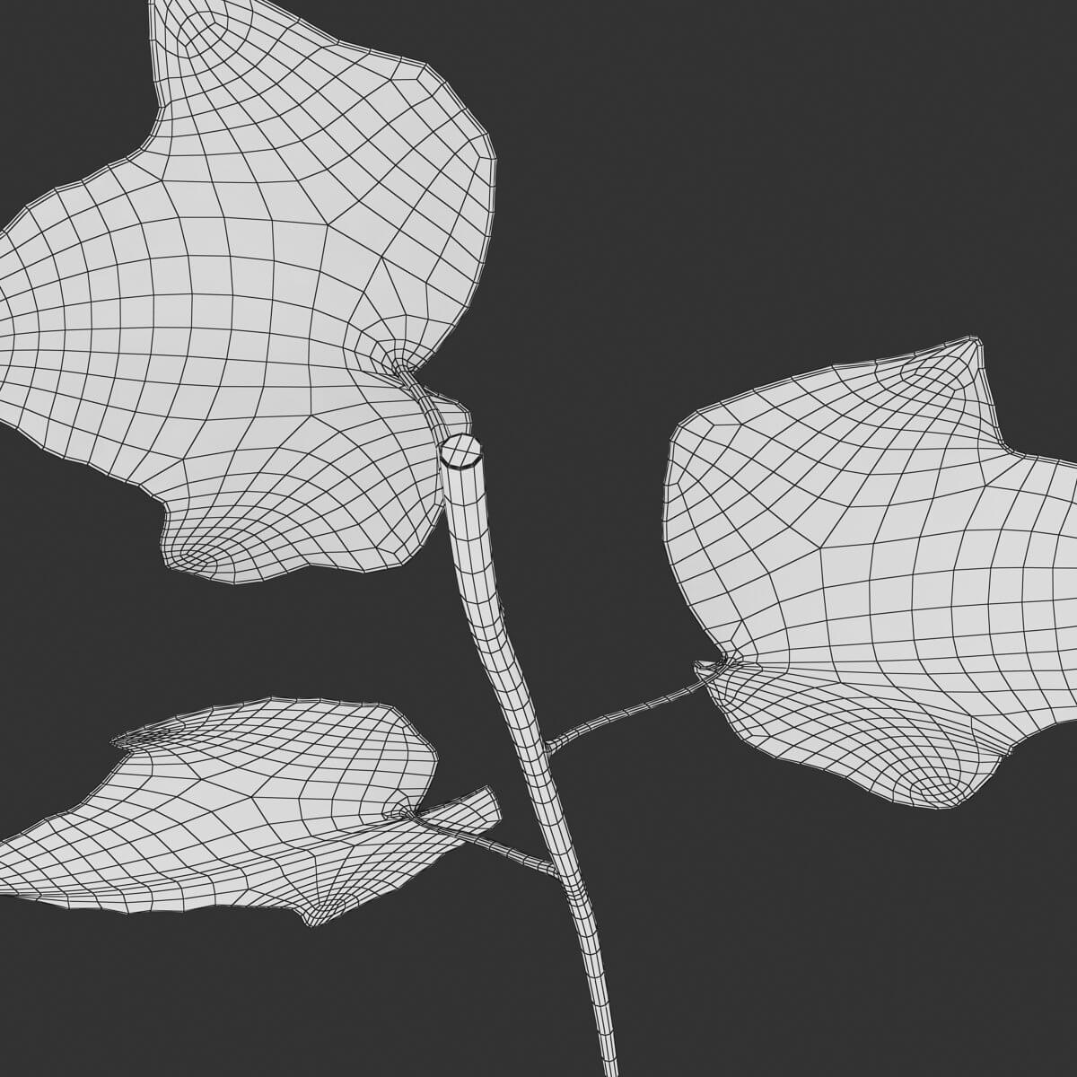 Ivy Leaf - 3D Model by hdpoly