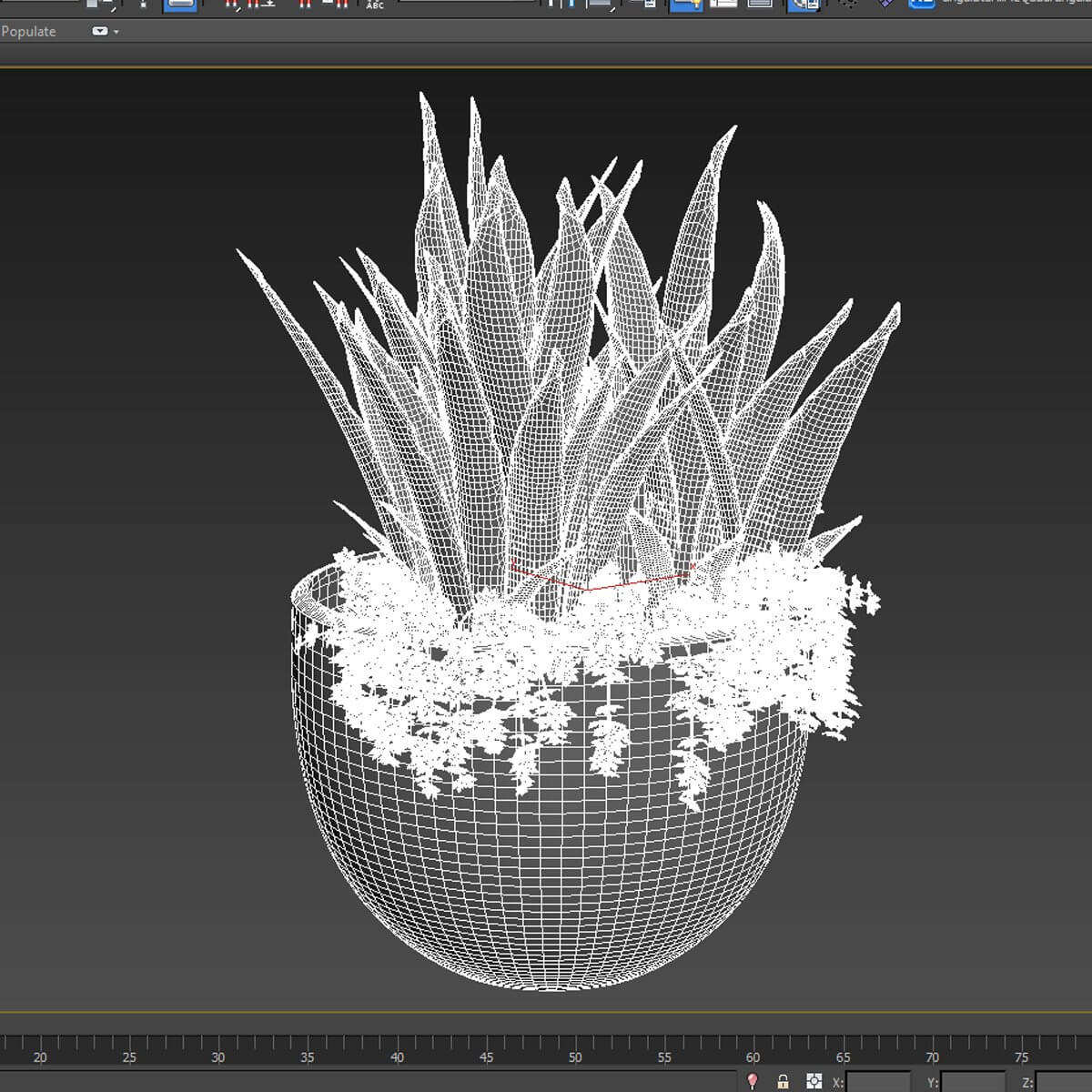 Potted Plant (V-Ray) 3D Model by Hdri_World