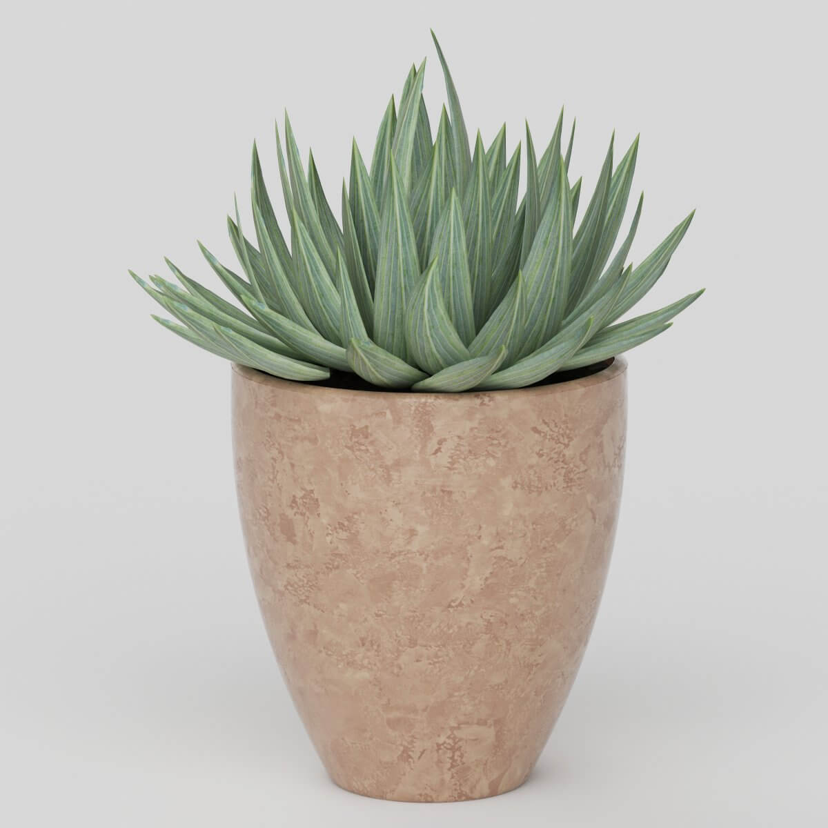 Potted Plant (V-Ray) 3D Model by Hdri_World