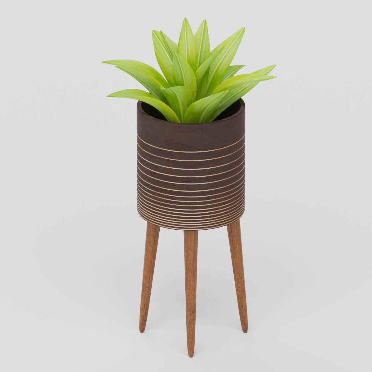 Potted Plant (V-Ray) 3D Model by Hdri_World