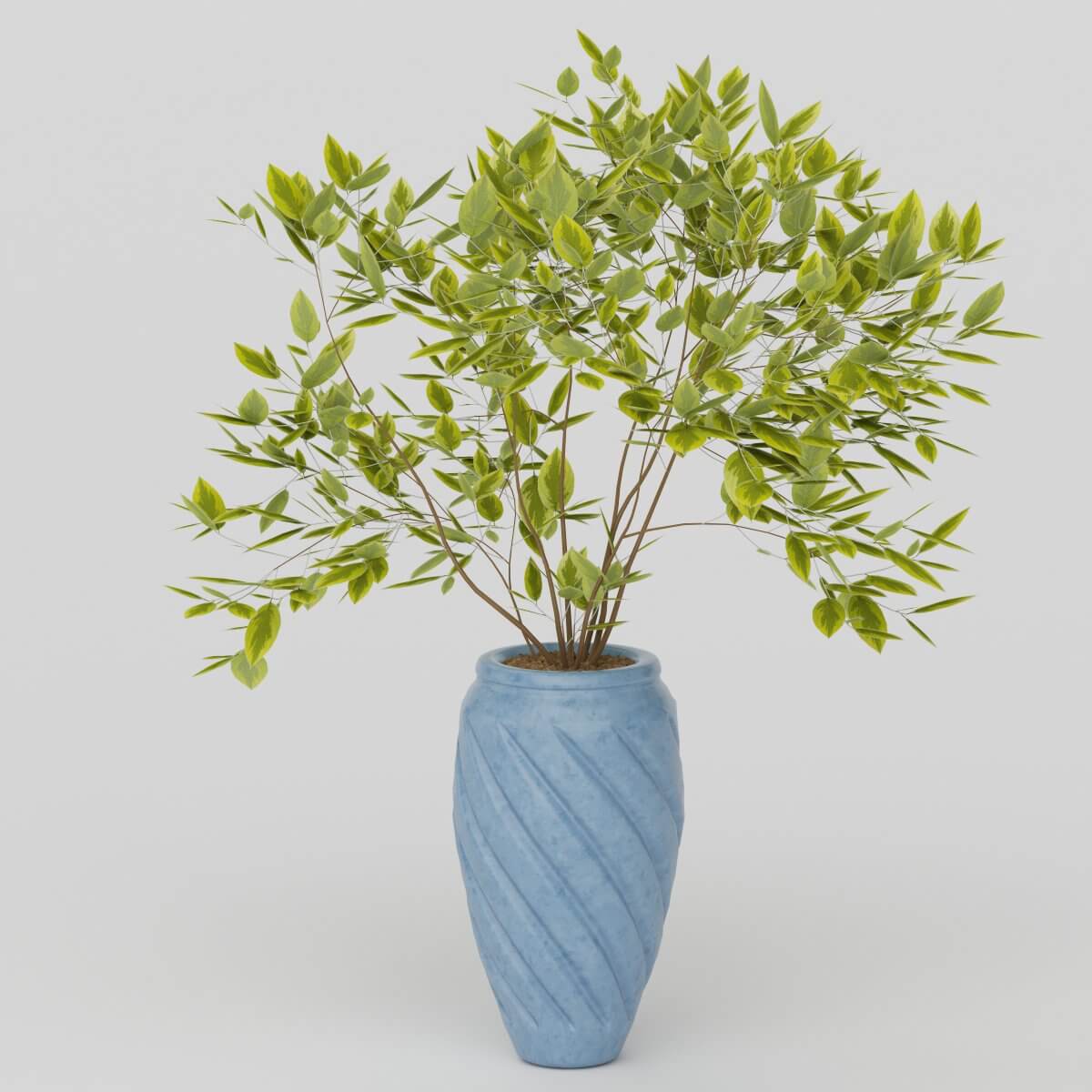 Potted Plant (V-Ray) - 3D Model by Hdri_World