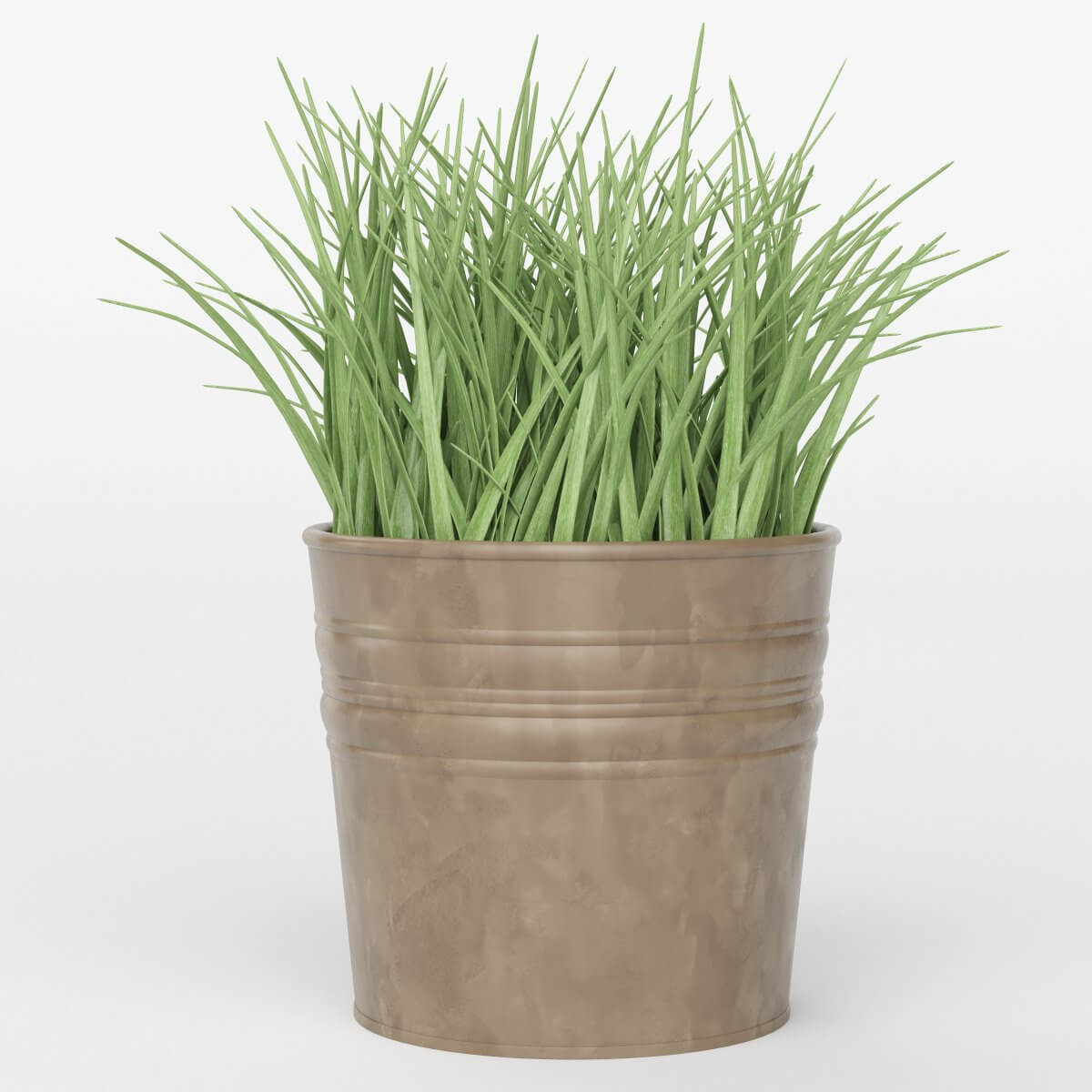 Potted Plant (V-Ray) 3D Model by Hdri_World