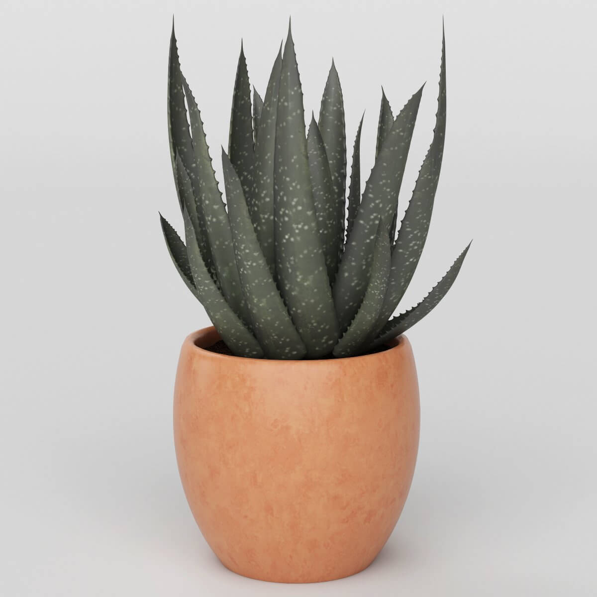 Potted Plant (V-Ray) 3D Model by Hdri_World