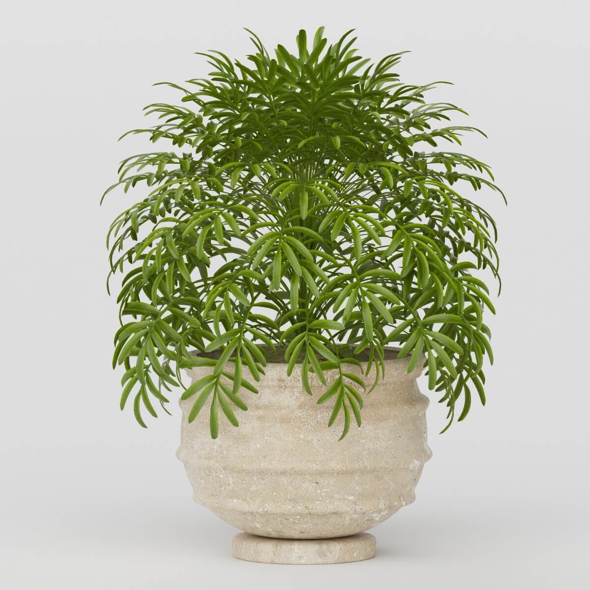 Potted Plant (V-Ray) 3D Model by Hdri_World