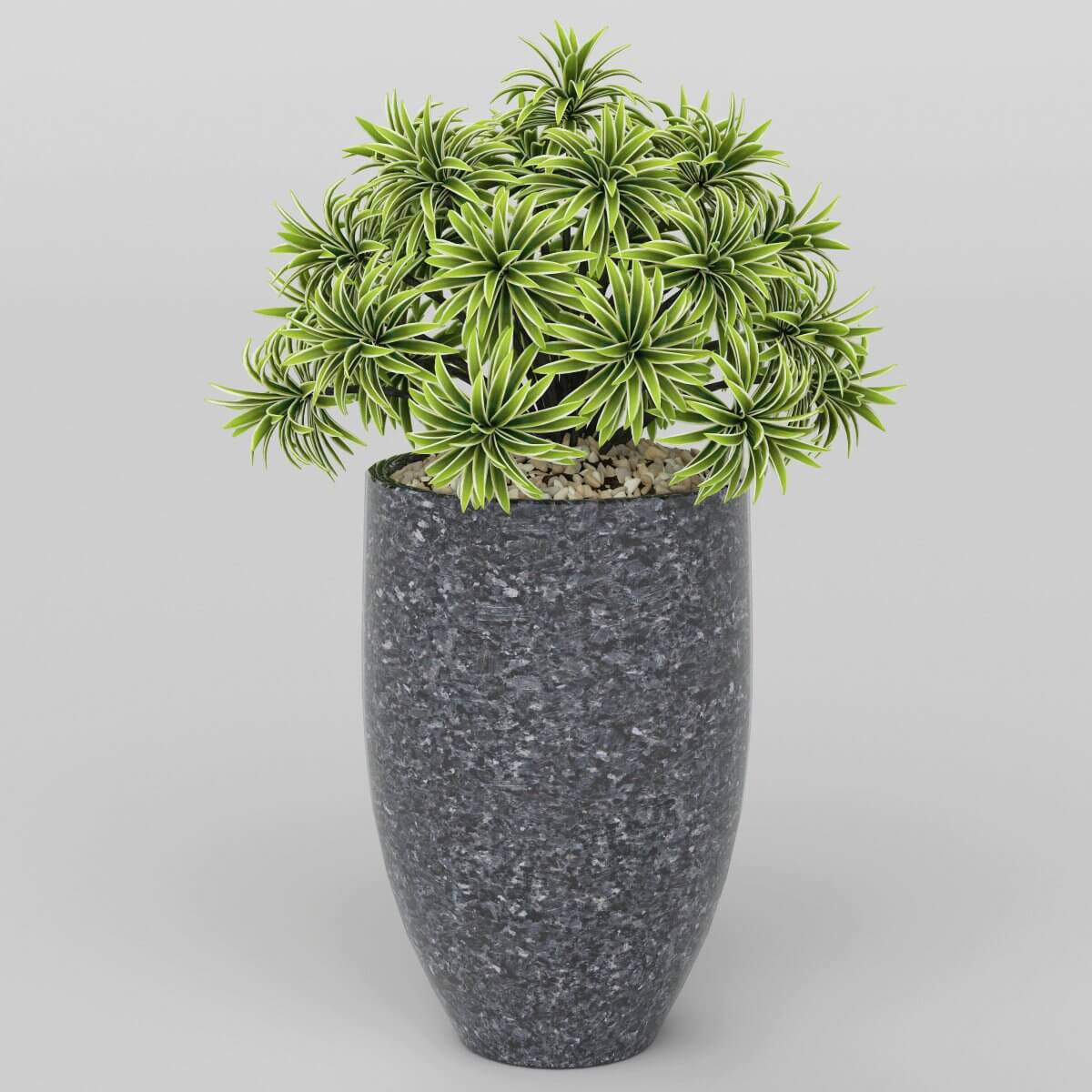 Potted Plant (V-Ray) 3D Model by Hdri_World