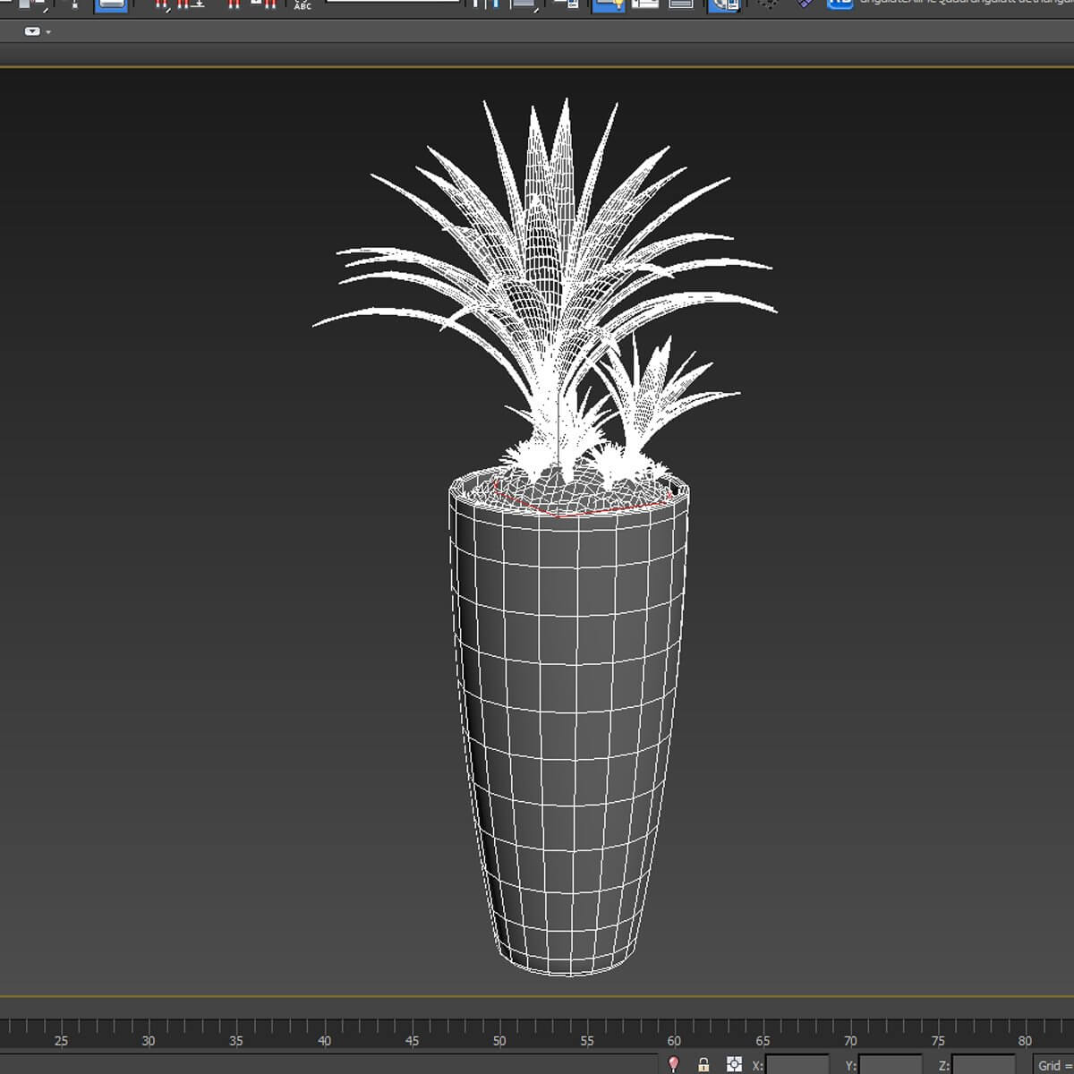 Potted Plant (V-Ray) 3D Model by Hdri_World