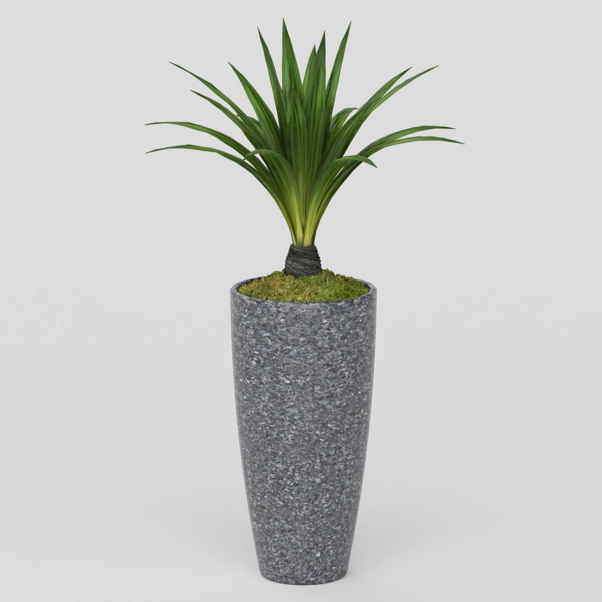 Potted Plant (V-Ray) 3D Model by Hdri_World