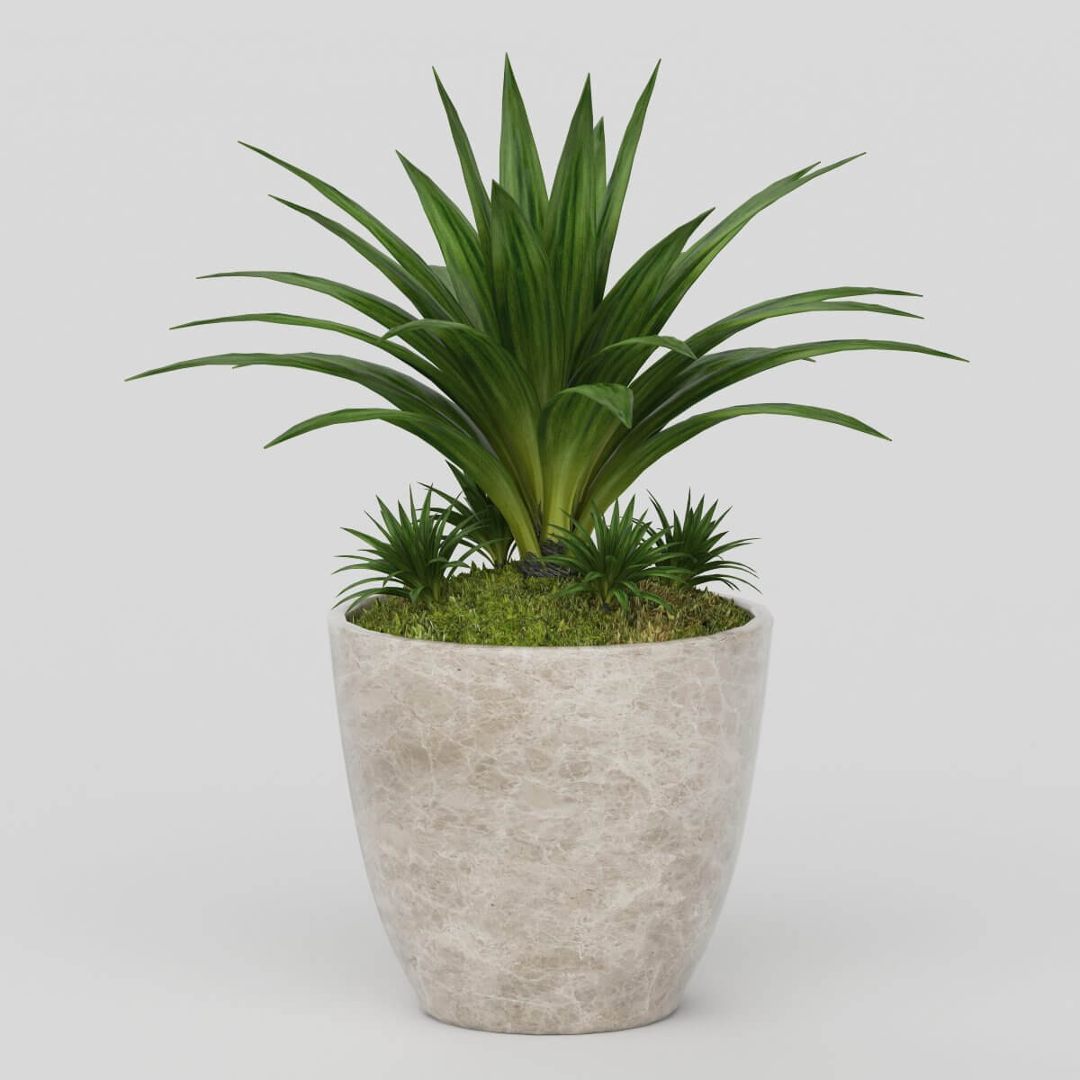 Potted Plant (V-Ray) 3D Model by Hdri_World