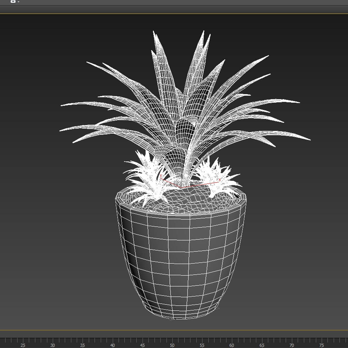 Potted Plant (V-Ray) 3D Model by Hdri_World