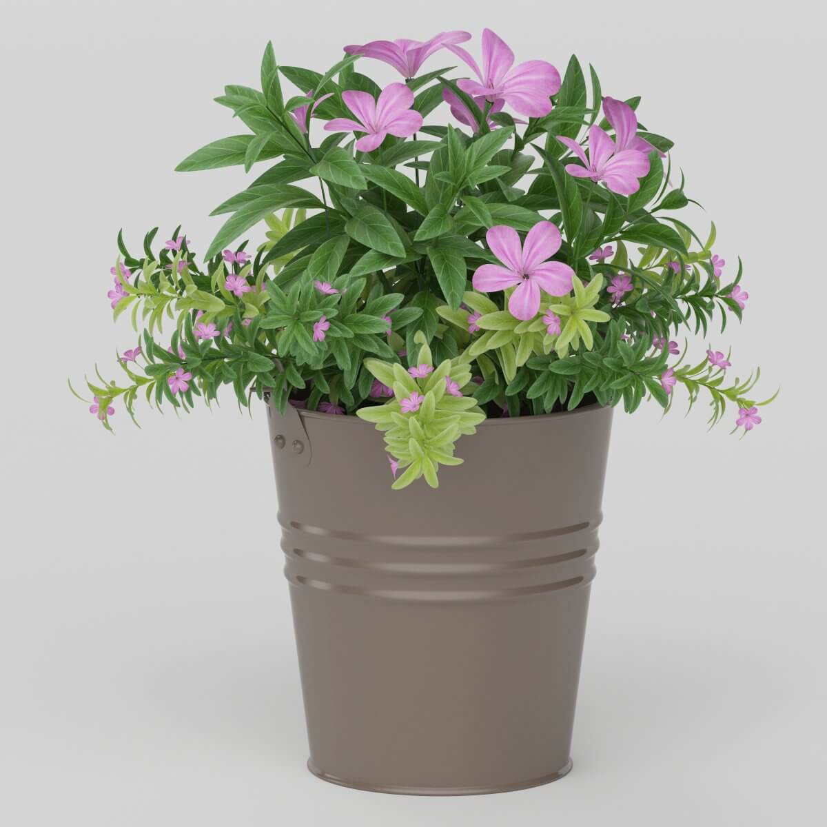 Potted Plant (V-Ray) 3D Model by Hdri_World