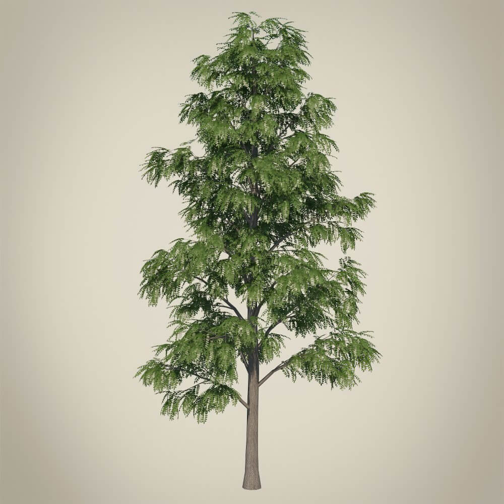 Tree (V-Ray) 3D Model by Hdri_World
