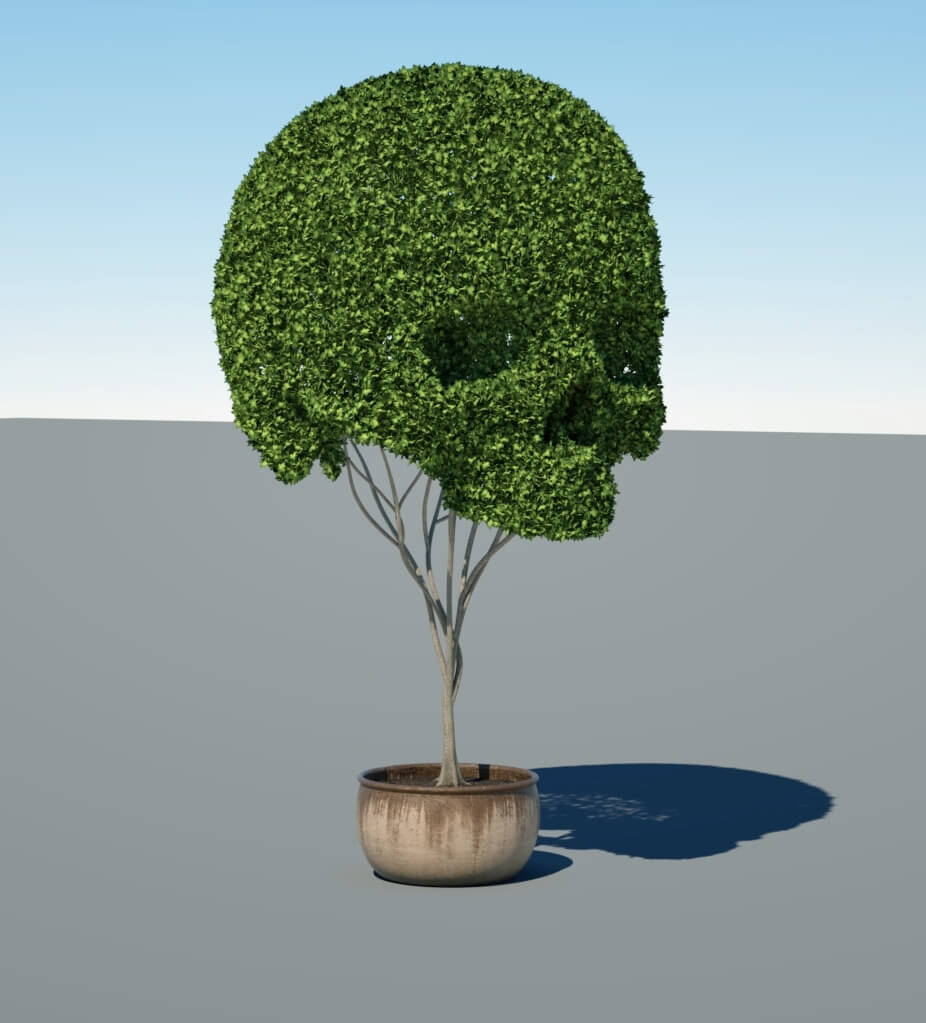 Death Head Shrub - Free 3D Model by Herhey