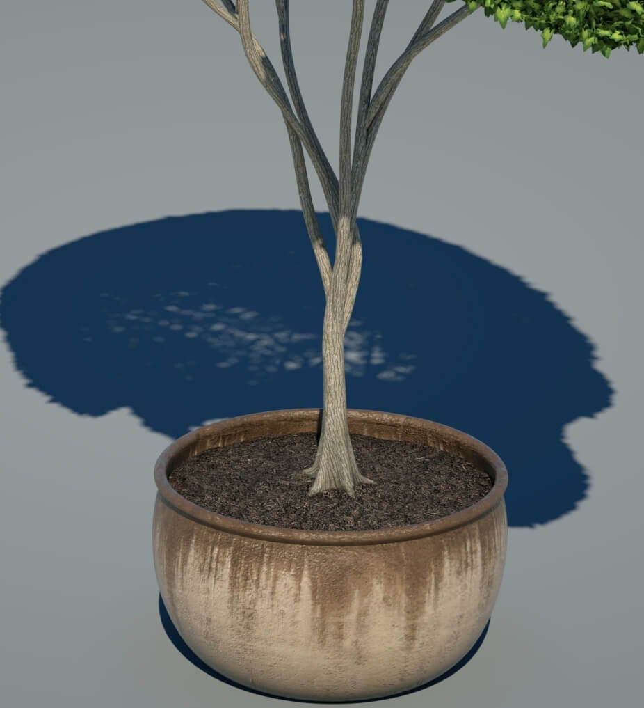 Death Head Shrub - Free 3D Model by Herhey