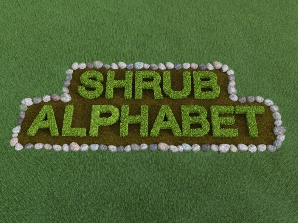 Shrub Alphabet - Free Daz Content by Herhey
