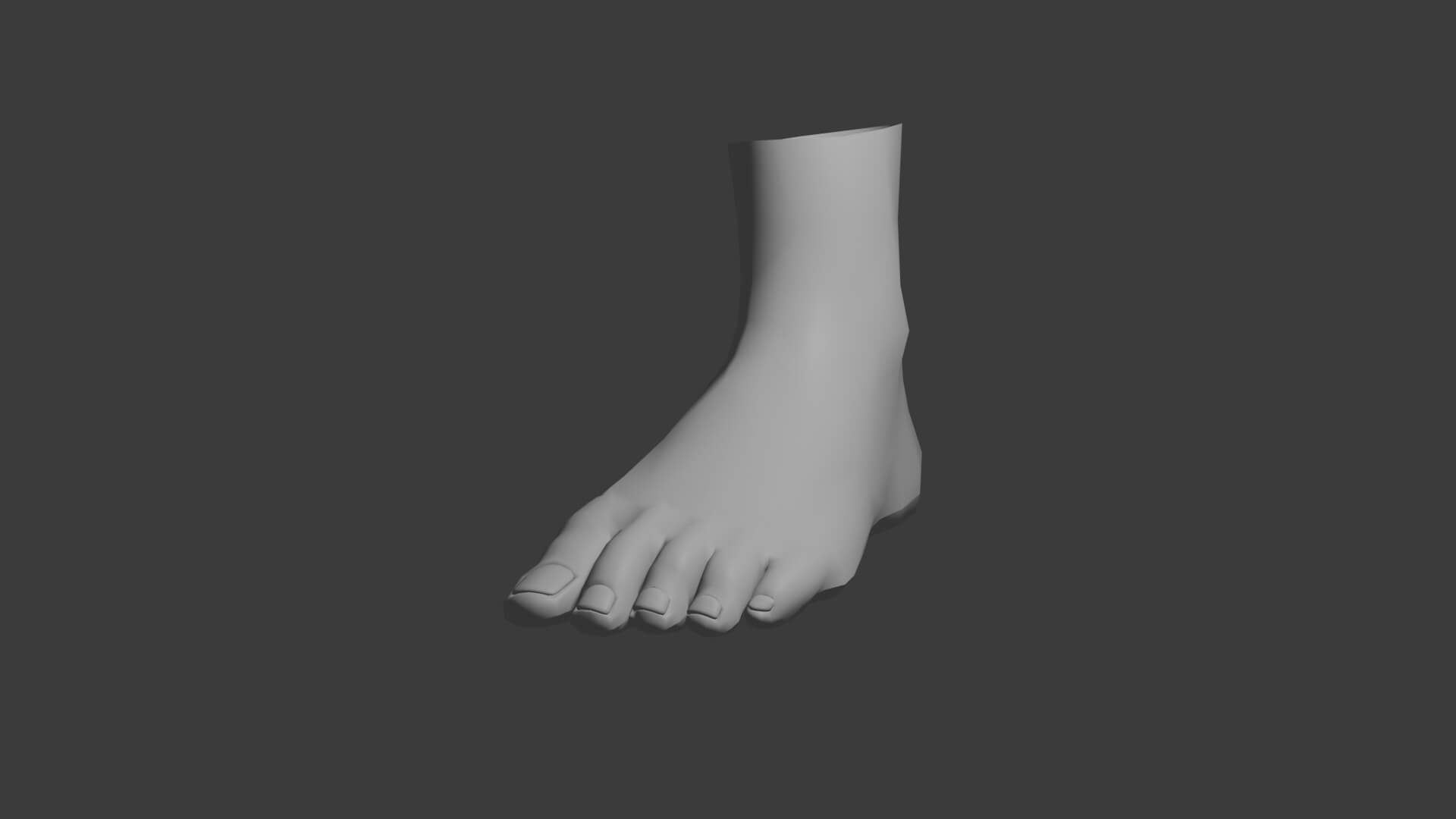 Foot Base Mesh - 3D Model by HikkiJack