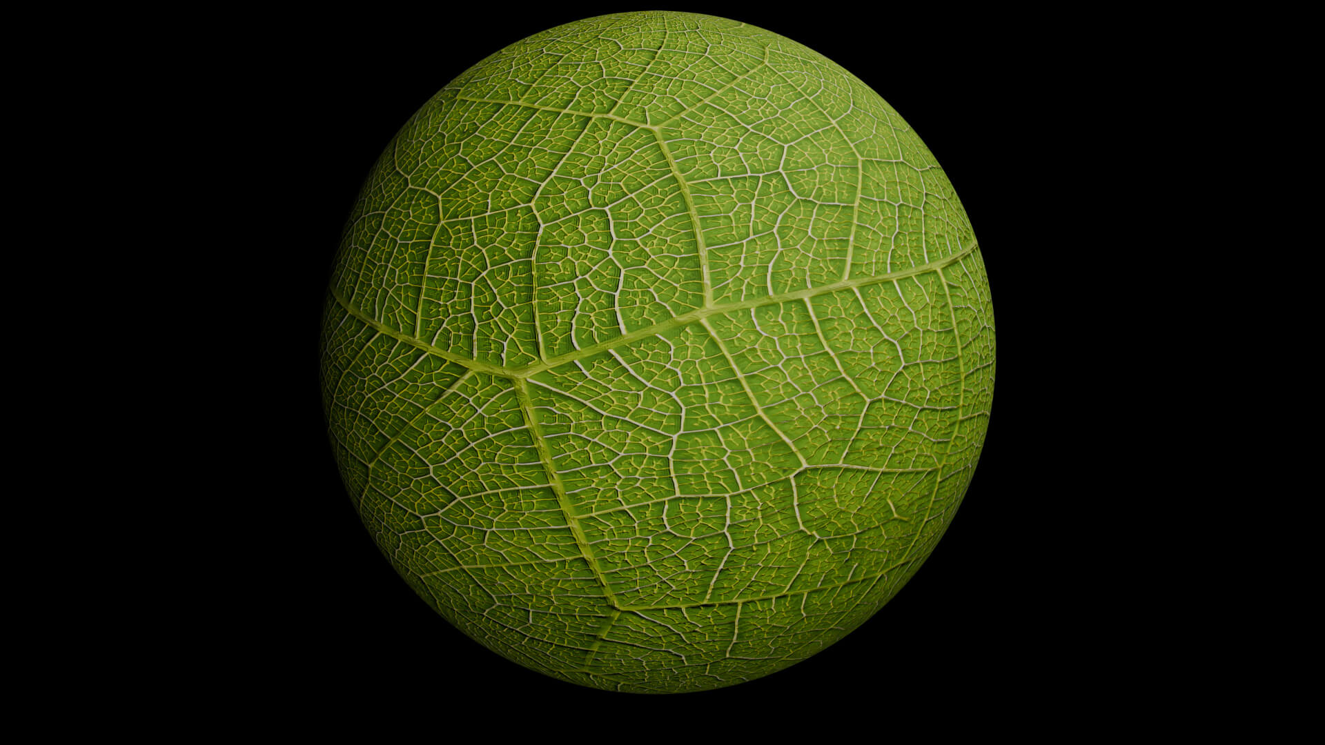 Leaf Texture by HikkiJack