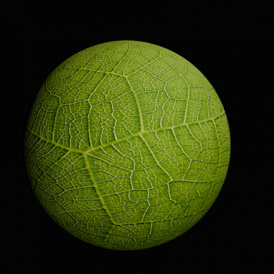 3D Textures | Plants | RenderHub