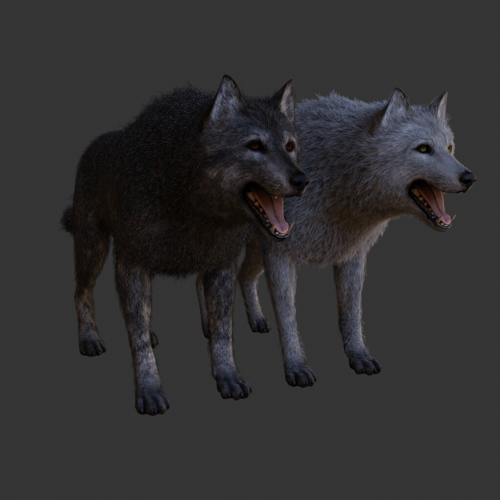 Realistic Wolfs - 3D Model by HikkiJack