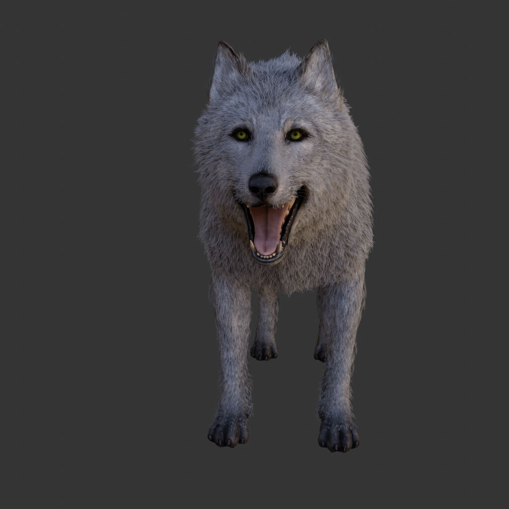 Realistic Wolfs - 3D Model by HikkiJack