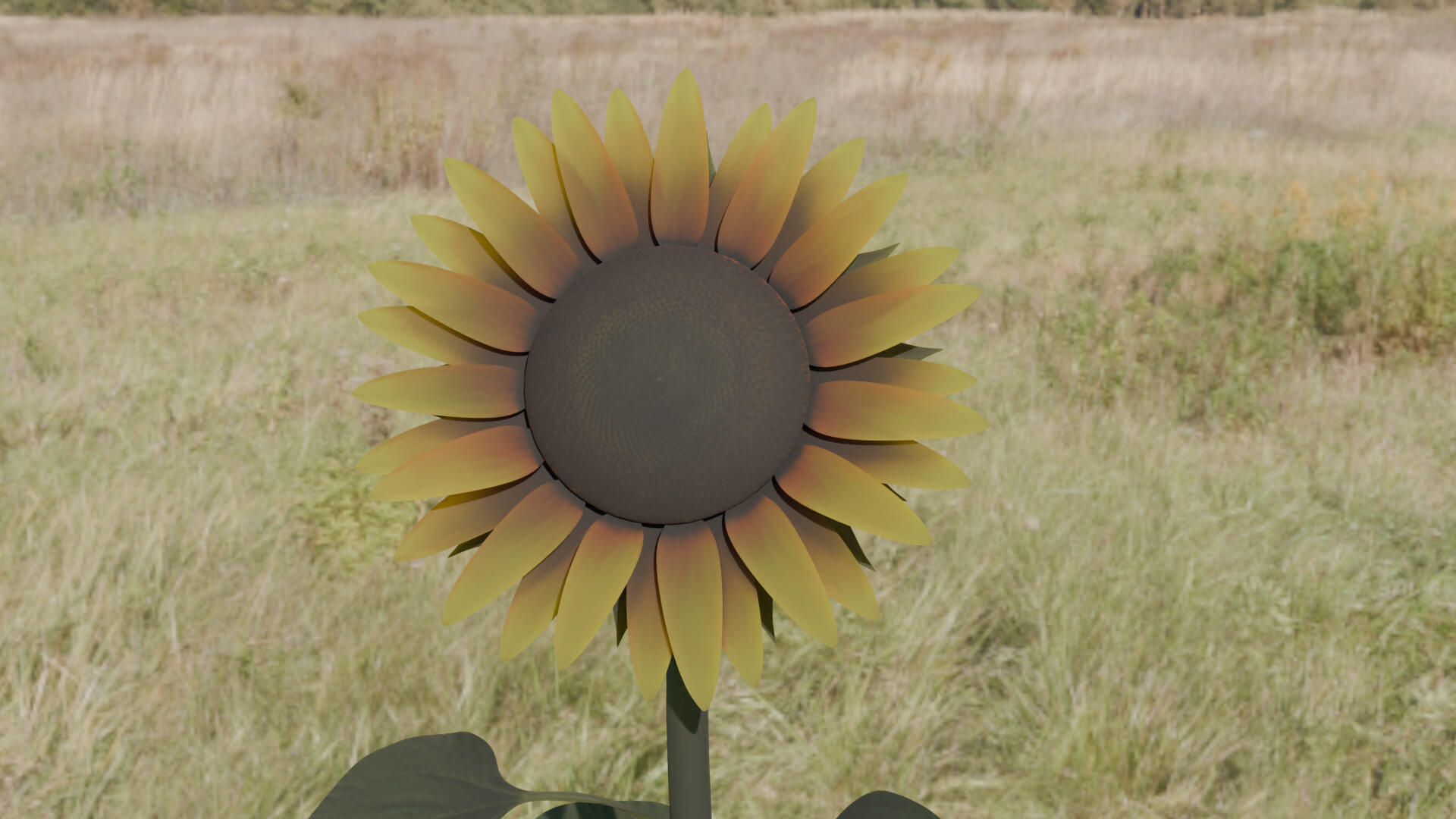 mid poly Sunflower - 3D Model by HikkiJack