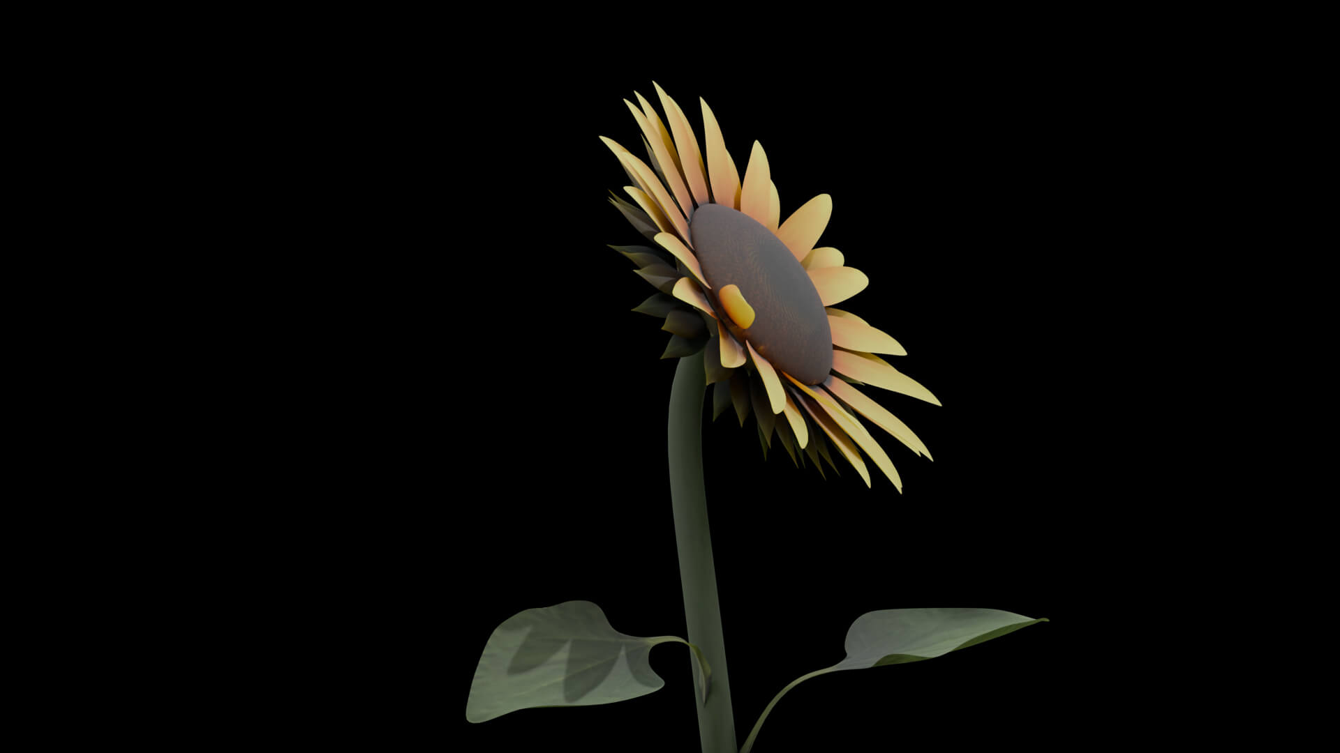 mid poly Sunflower - 3D Model by HikkiJack