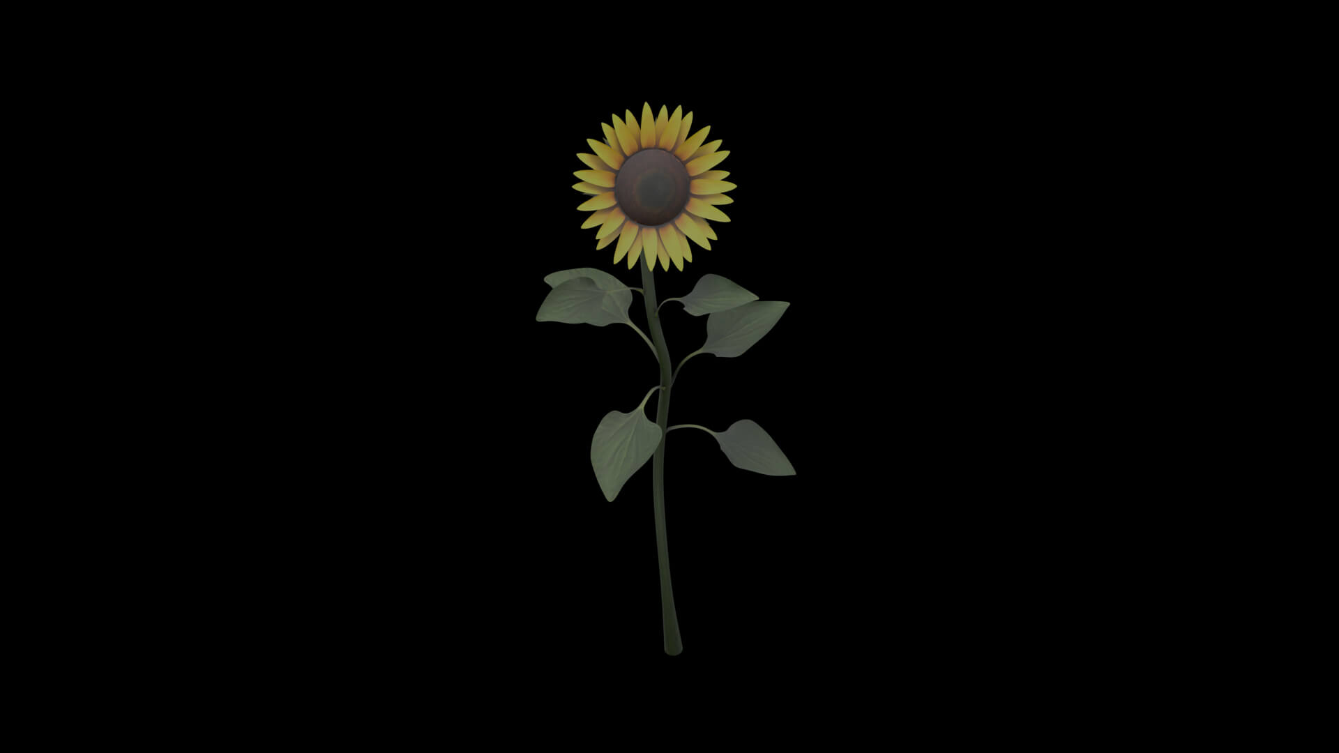 mid poly Sunflower - 3D Model by HikkiJack