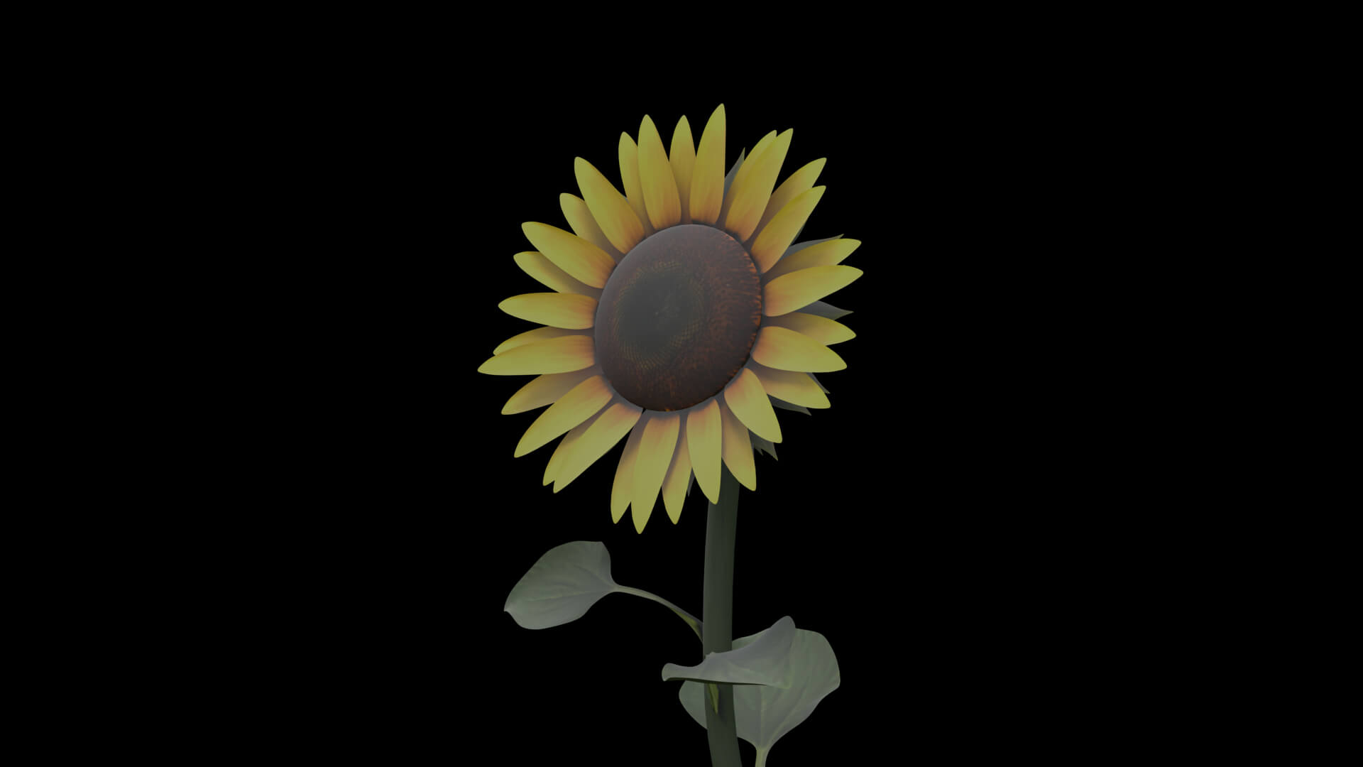 mid poly Sunflower - 3D Model by HikkiJack