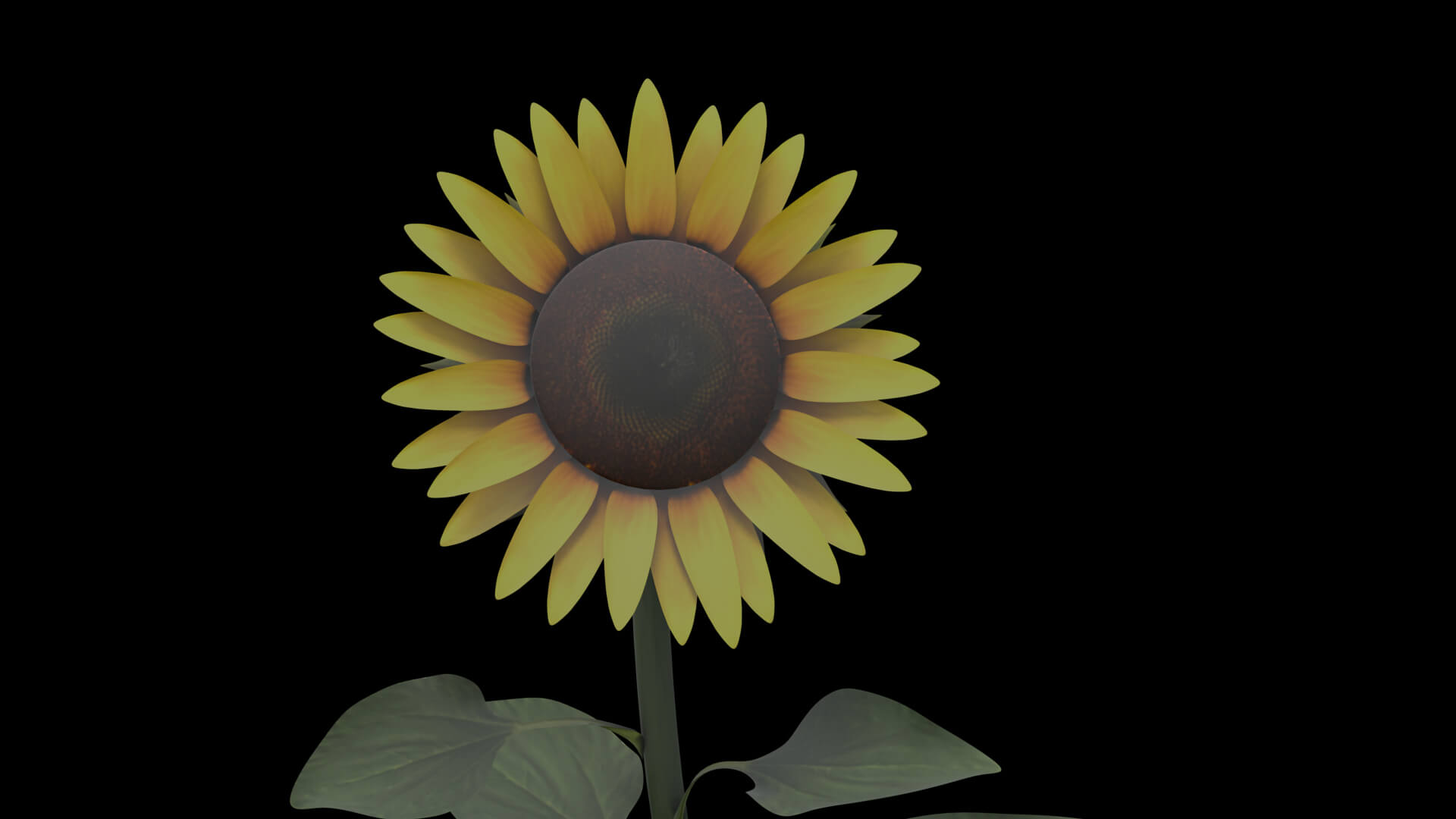 mid poly Sunflower - 3D Model by HikkiJack