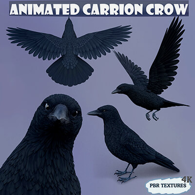 3D Models | Birds | Crows | RenderHub