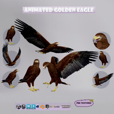 Animated 3D Models | Birds | Eagles | RenderHub