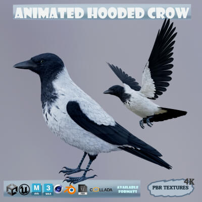 Wolf-A3-Animated 3D Animation by Animated3d