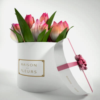 Tulips in a Gift Box - Free 3D Model by hulk mario