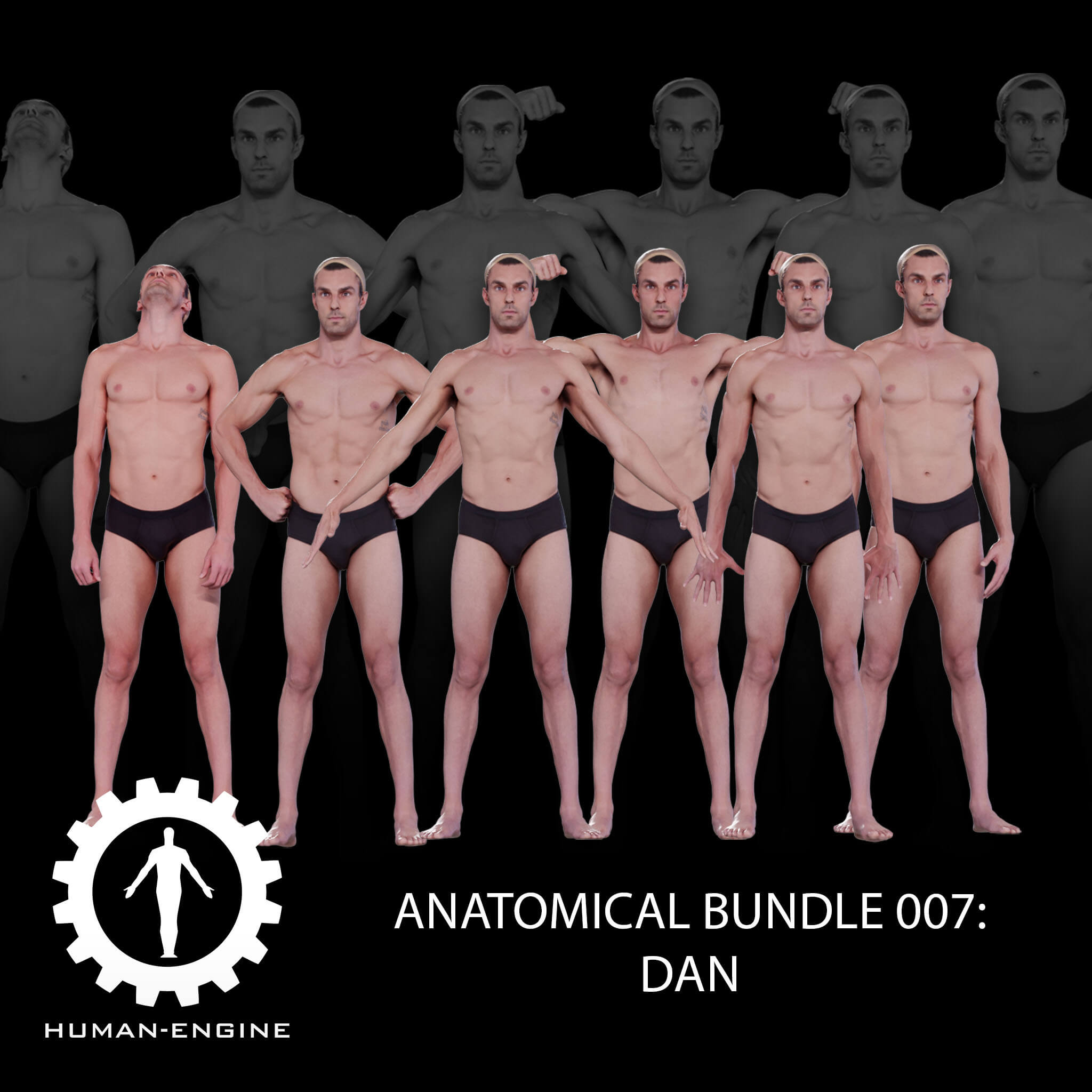 Human Male Reference