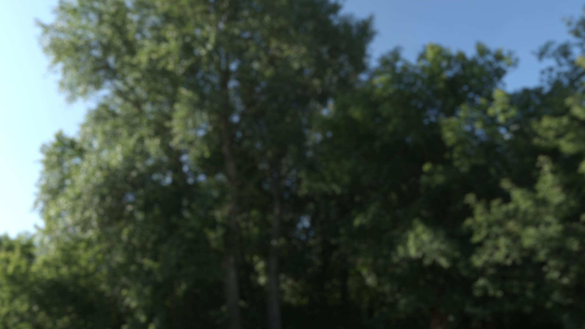 HX 8K Blurred Backgrounds 1 - 2D Game Asset by HumanXYStudio