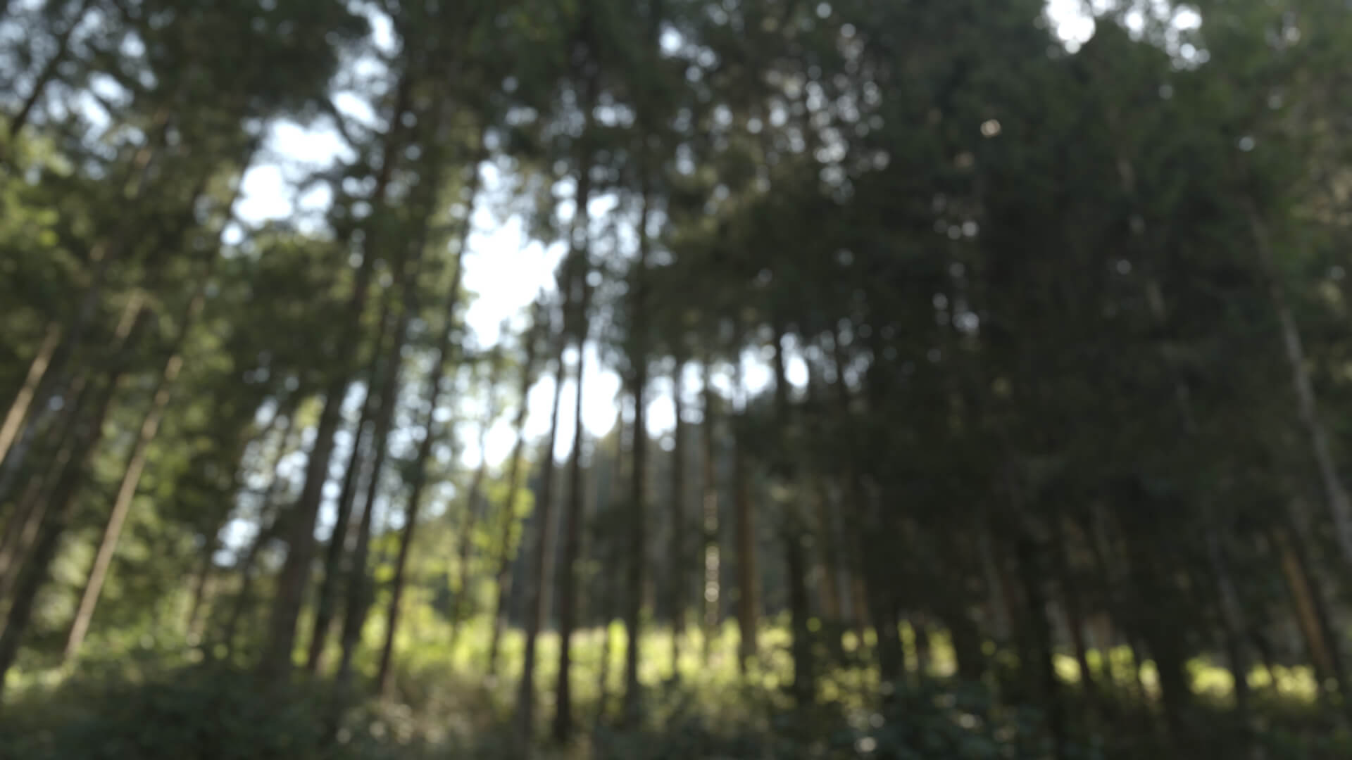 HX 8K Blurred Backgrounds 1 - 2D Game Asset by HumanXYStudio