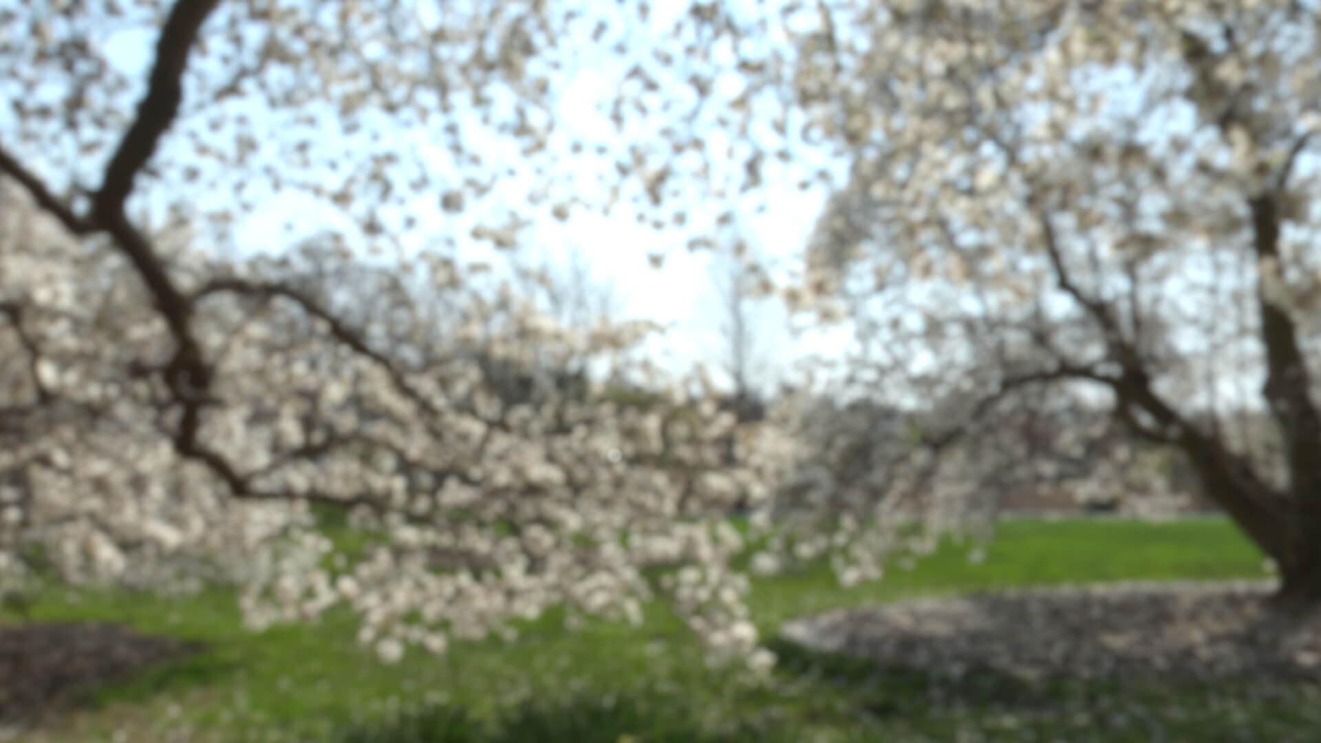 HX 8K Blurred Backgrounds 1 - 2D Game Asset by HumanXYStudio