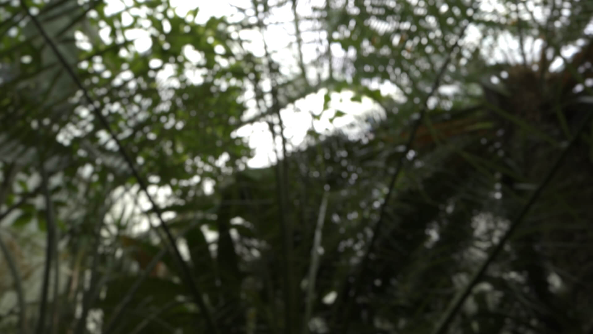 HX 8K Blurred Backgrounds 1 - 2D Game Asset by HumanXYStudio